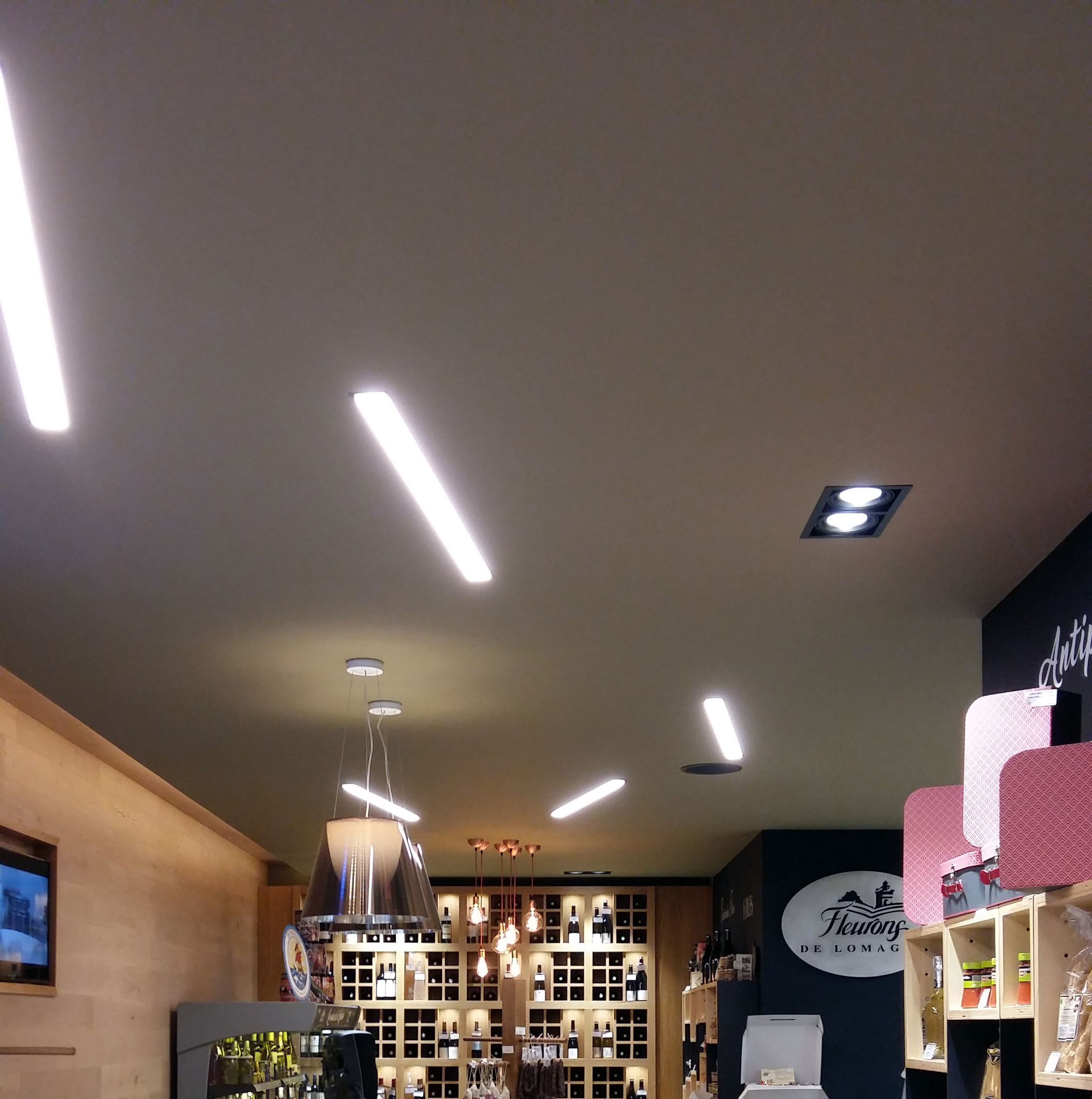 Double plafond - Platrerie Delomagne